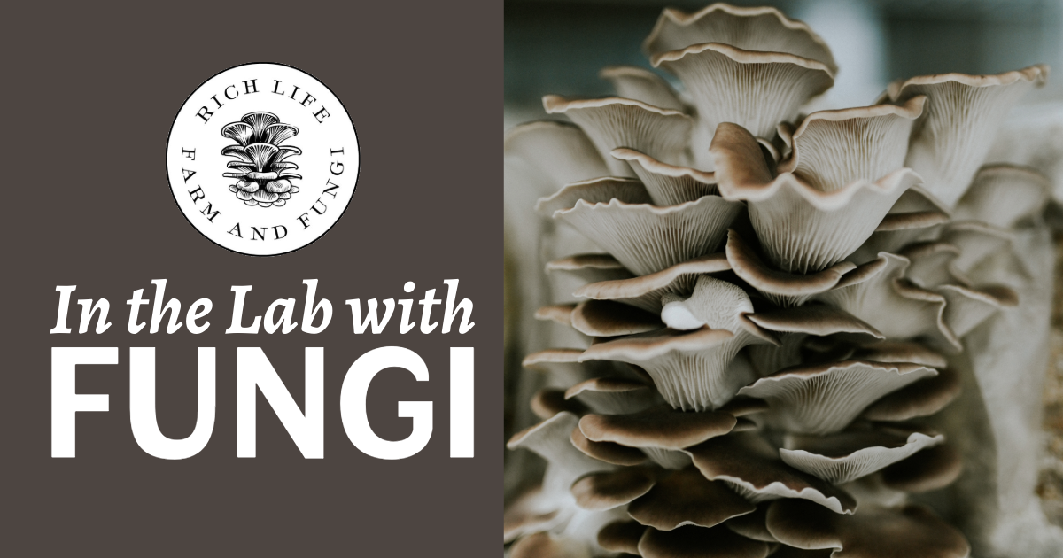 Civic Garden Center of Greater Cincinnati - In the Lab with Fungi