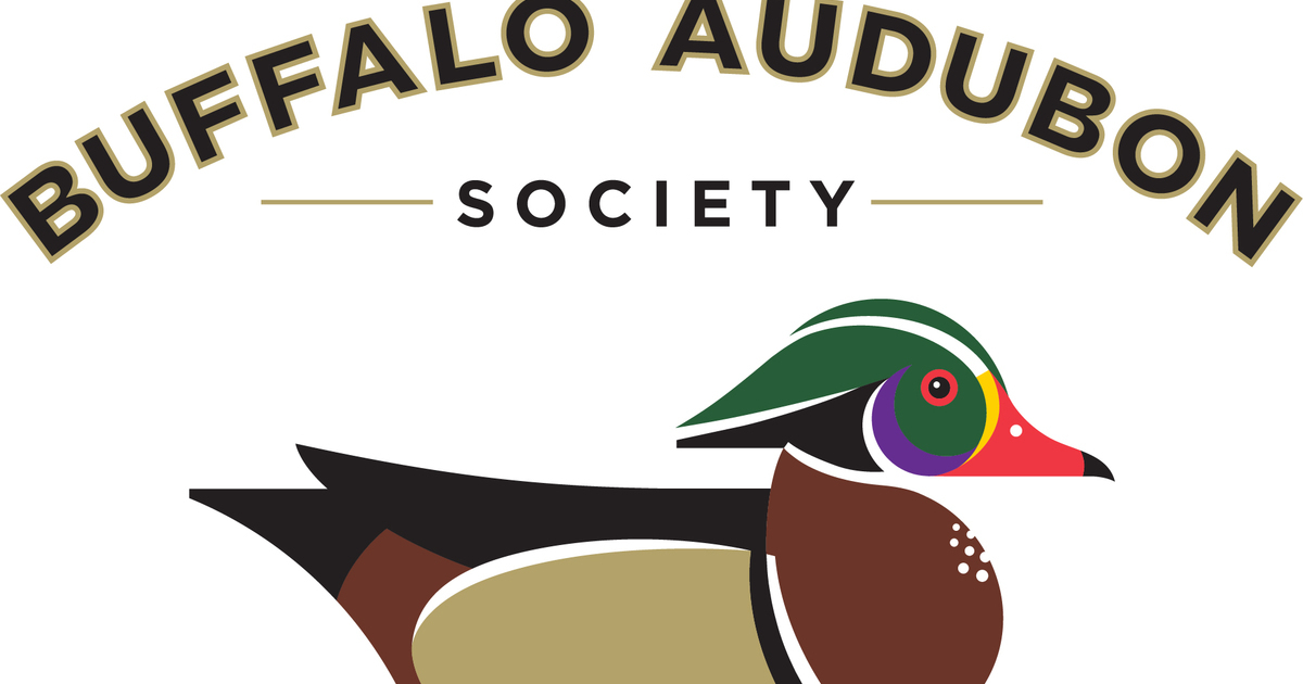 Buffalo Audubon Society Inc - Buffalo Audubon Annual Membership