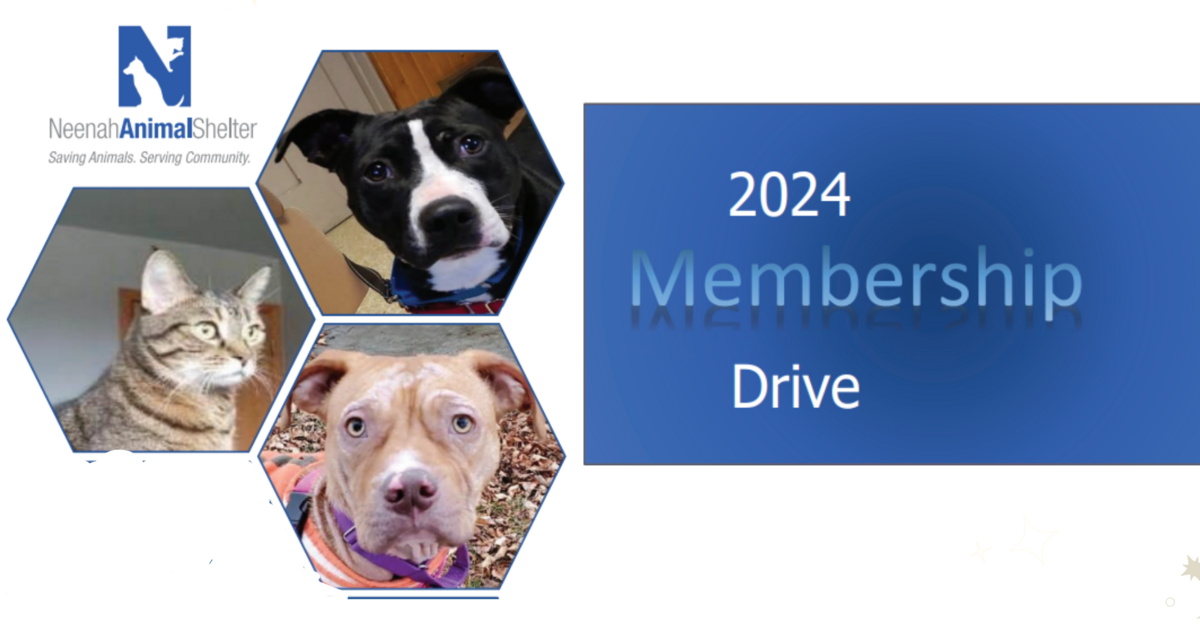 NEENAH ANIMAL SHELTER - 2024 NAS Membership Drive