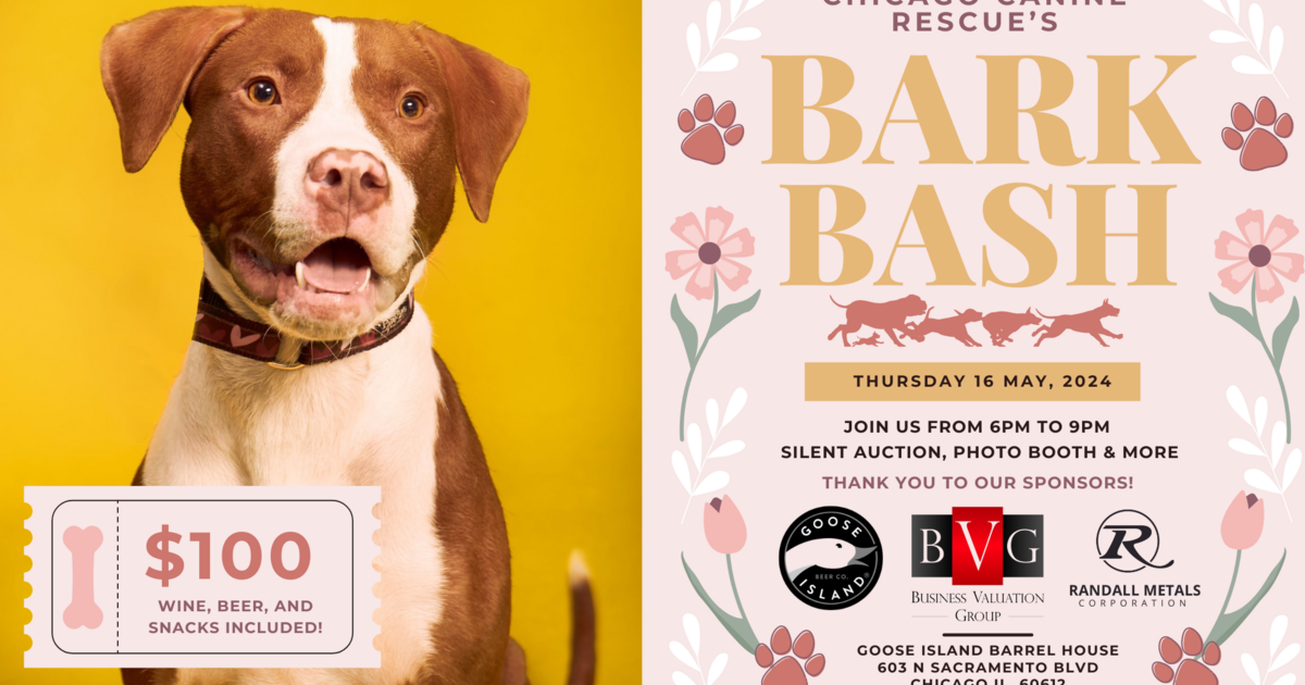 Chicago Canine Rescue Foundation - Bark Bash!