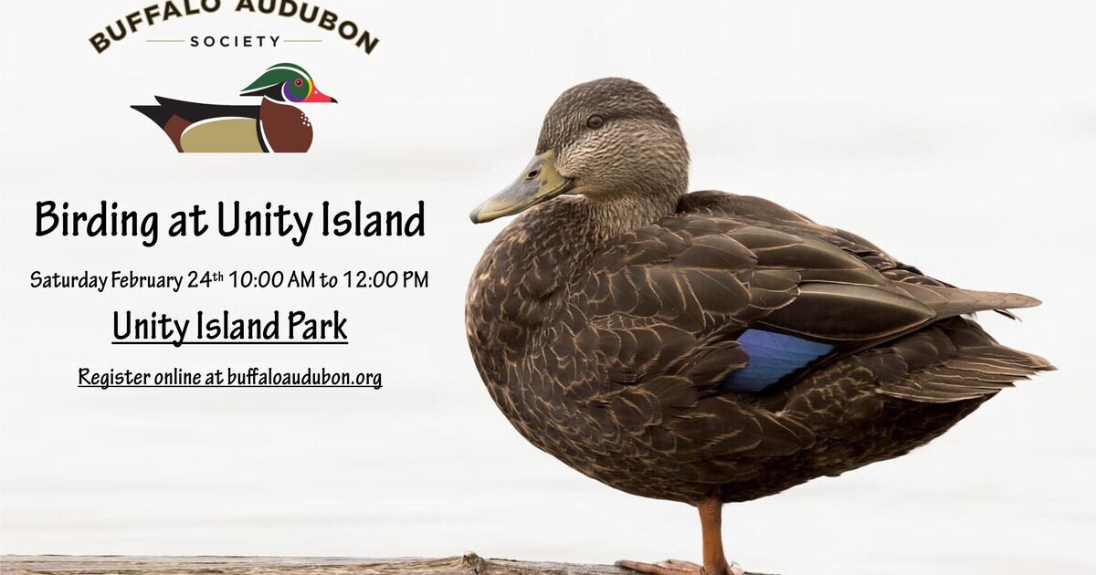 Buffalo Audubon Society Inc - Birding at Unity Island (General Admission)