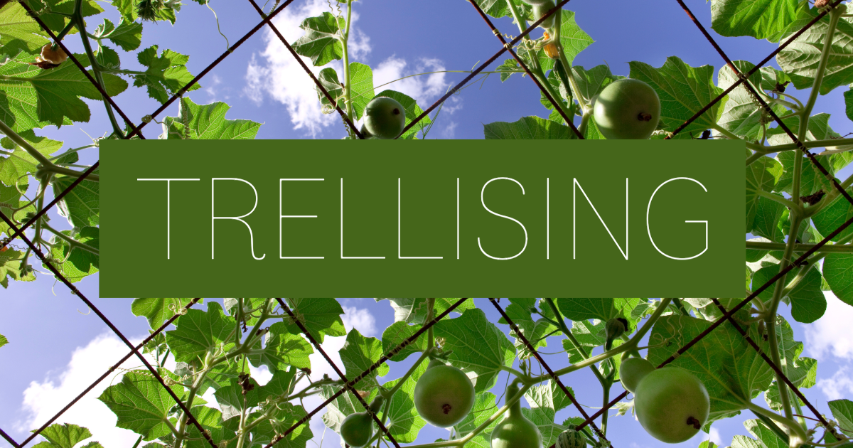 Civic Garden Center of Greater Cincinnati - Trellising