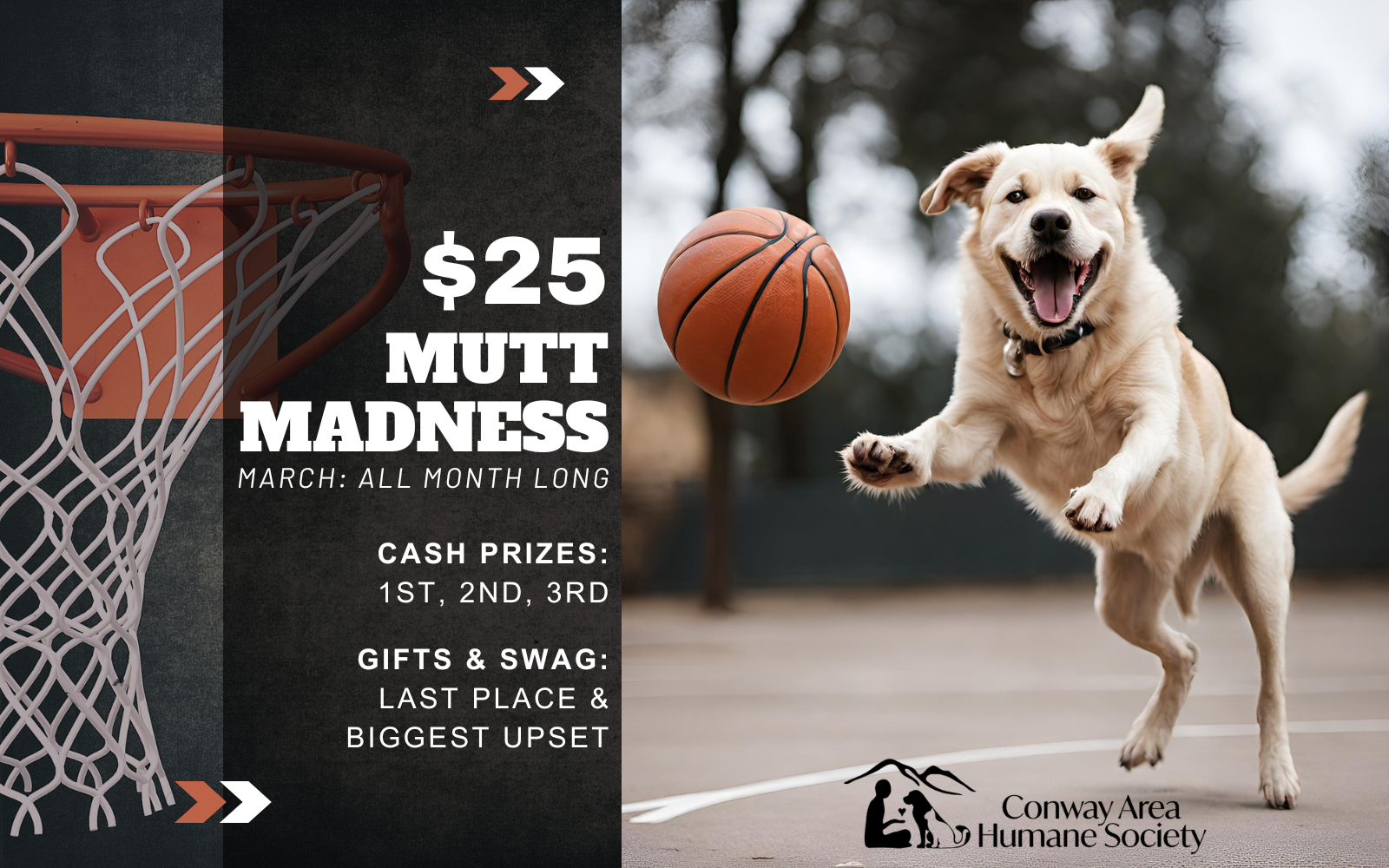 CONWAY AREA HUMANE SOCIETY - Mutt Madness