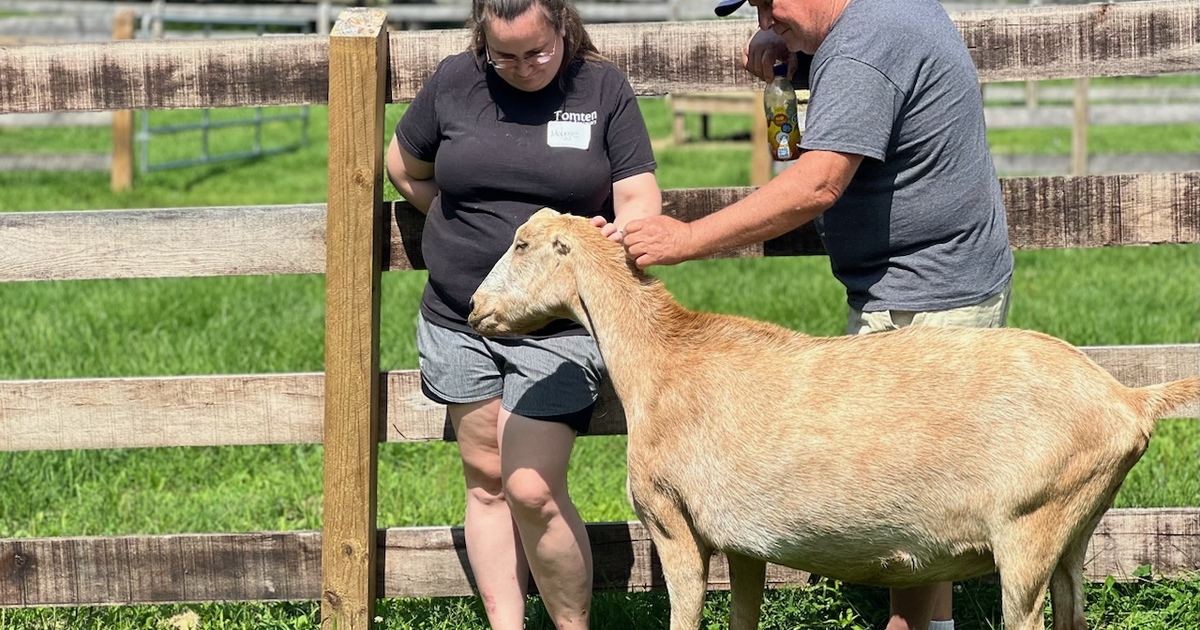Tomten Farm and Sanctuary of New Hampshire - July 14th, 2024 Sunday ...