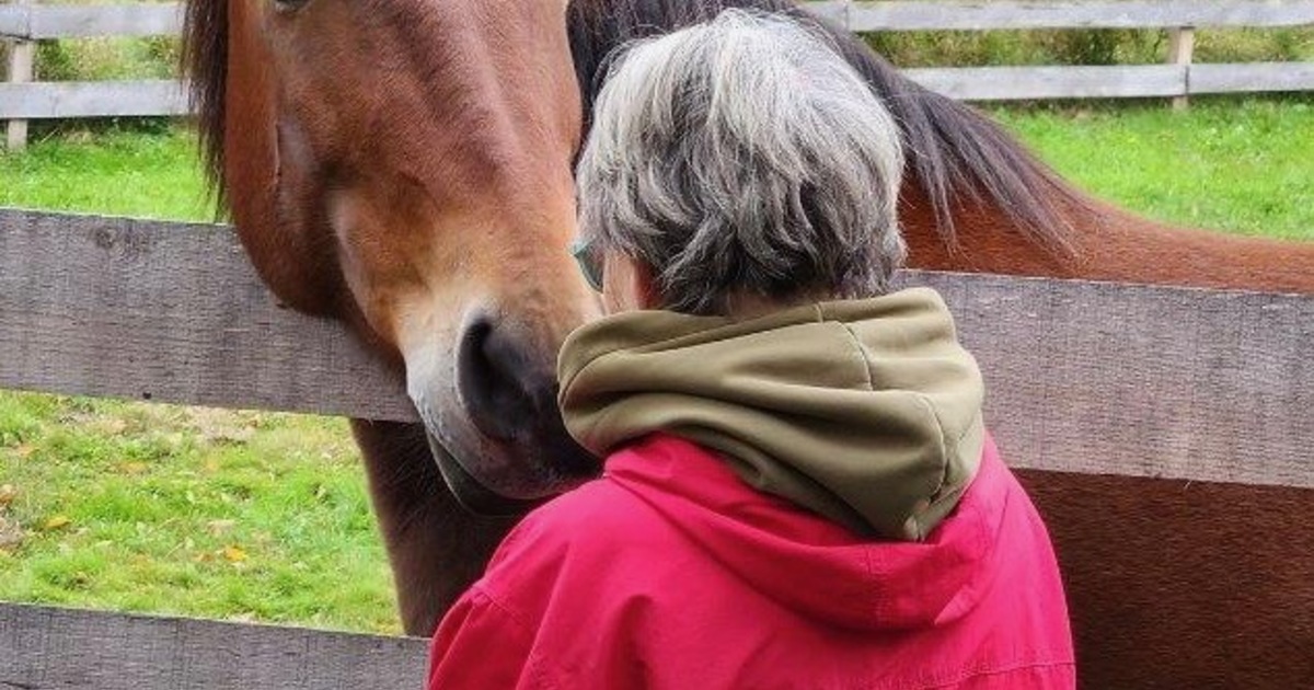 Tomten Farm and Sanctuary of New Hampshire - Sunday, September 22nd ...