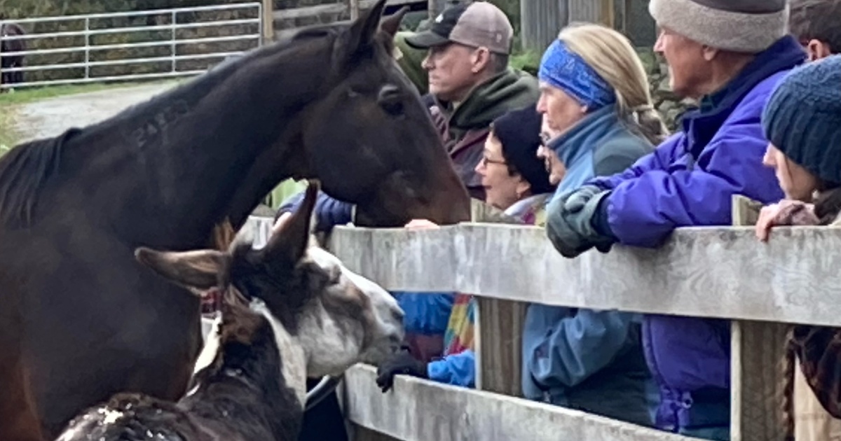 Tomten Farm and Sanctuary of New Hampshire - Sunday, October 20th, 2024 ...