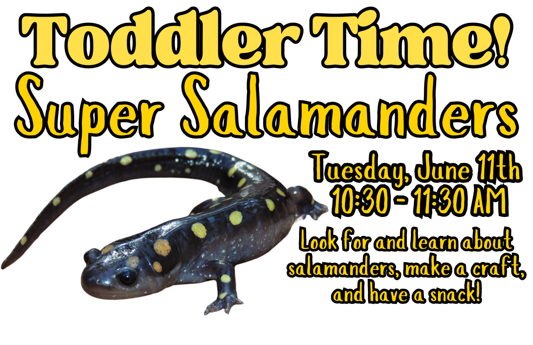Buffalo Audubon Society Inc - Toddler Time - Super Salamanders