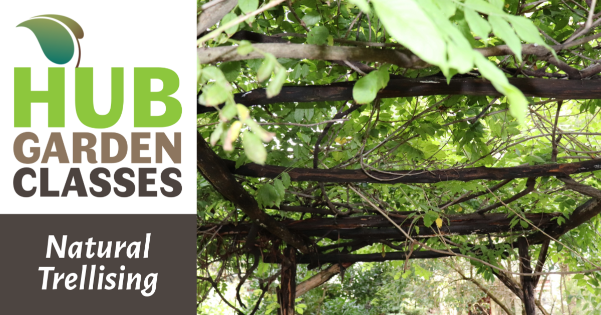 Civic Garden Center of Greater Cincinnati - HUB Garden Class: Natural ...