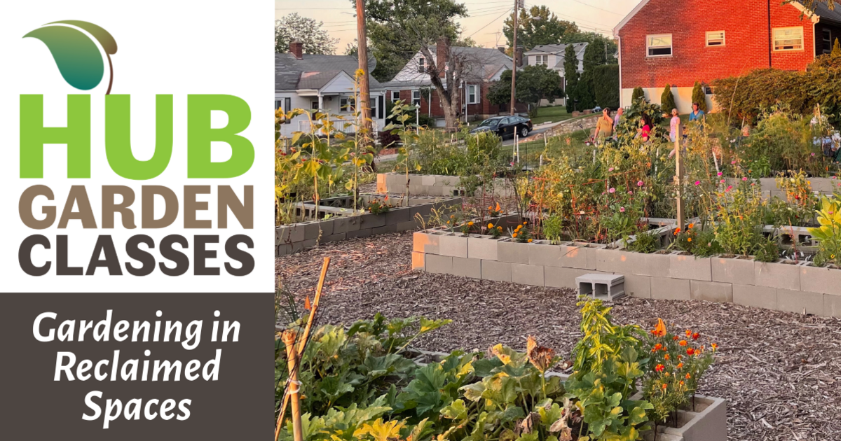 Civic Garden Center of Greater Cincinnati - HUB Garden Class: Gardening ...