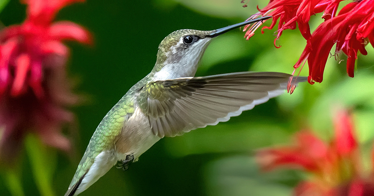 Virginia Beach Art Center Inc - X 2024-A3 - How to Photograph a ...