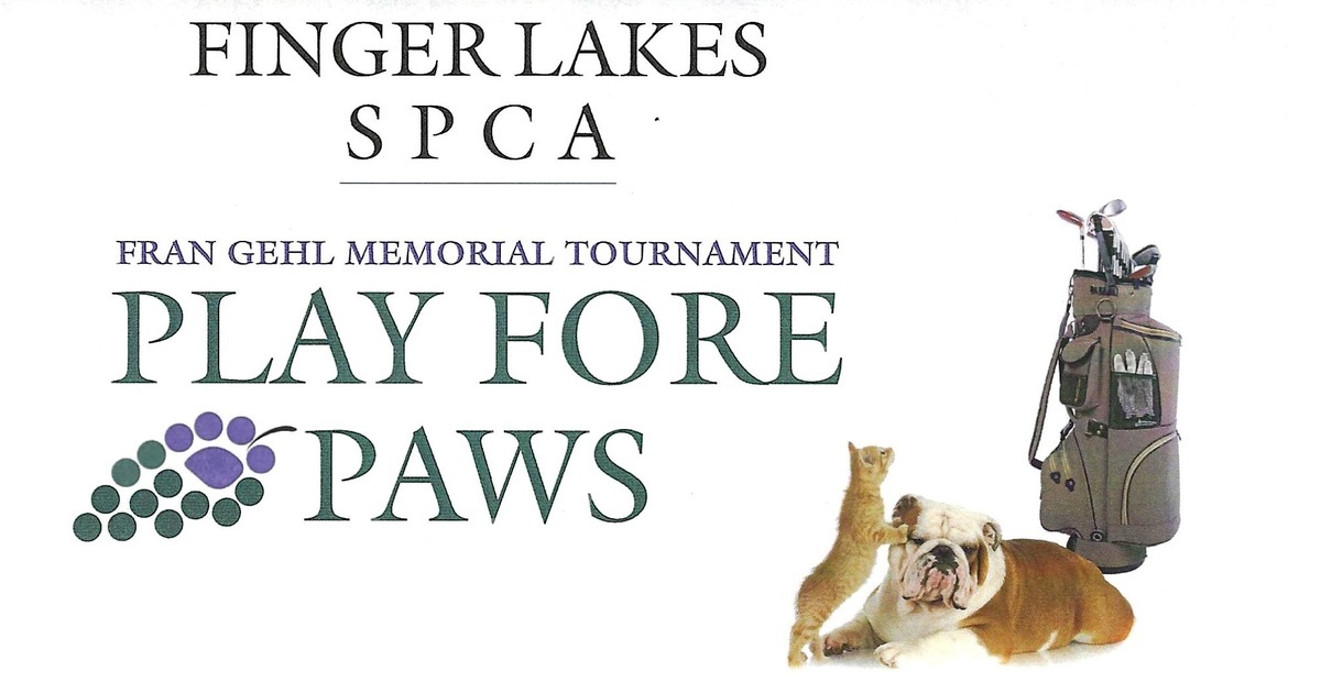 Finger Lakes SPCA, Inc. - Play Fore Paws 2024