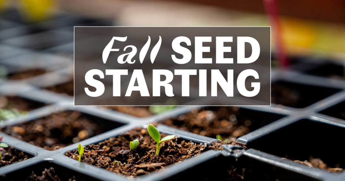 Civic Garden Center of Greater Cincinnati - Fall Seed Starting