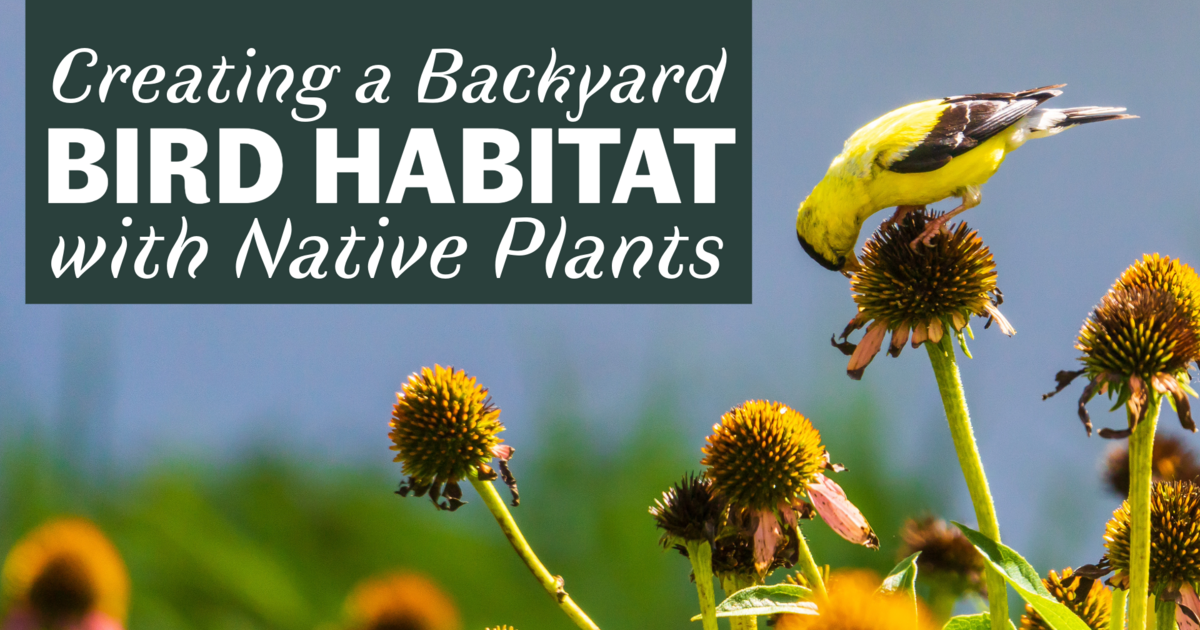 Civic Garden Center of Greater Cincinnati - Creating a Backyard Bird ...
