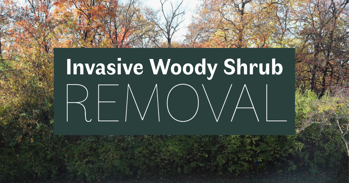 Civic Garden Center of Greater Cincinnati - Invasive Woody Shrub Removal