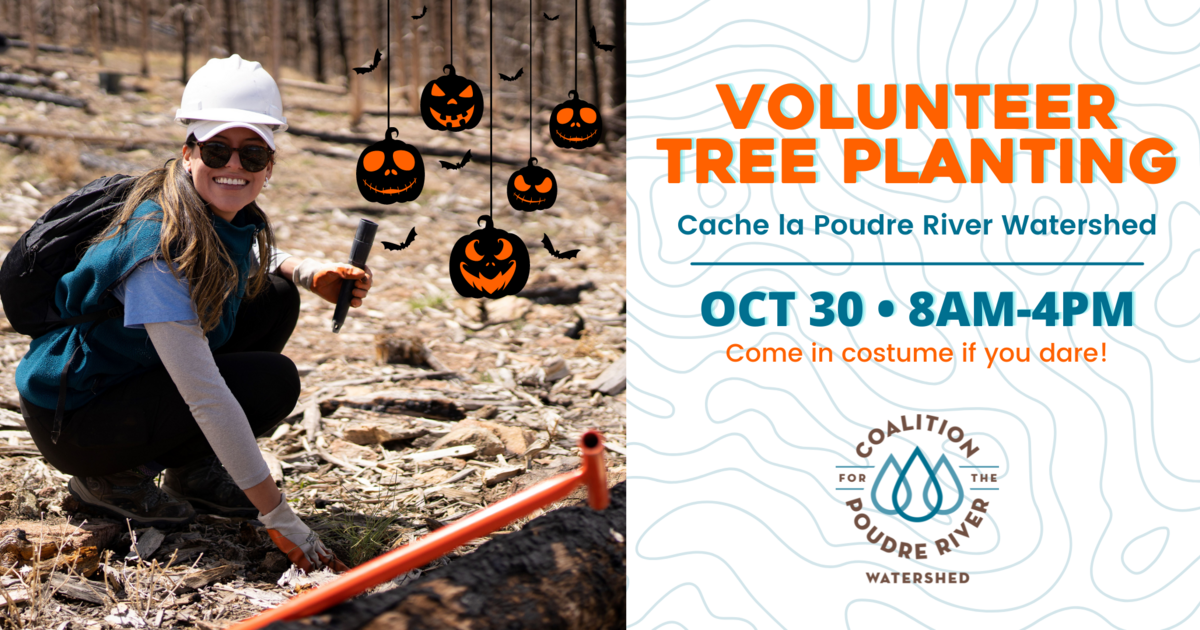 COALITION FOR THE POUDRE RIVER WATERSHED - Volunteer Tree Planting ...