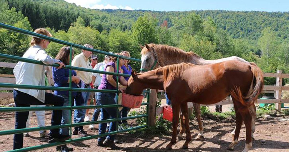Rosemary Farm Sanctuary Inc. - Sanctuary Tour - September 28th