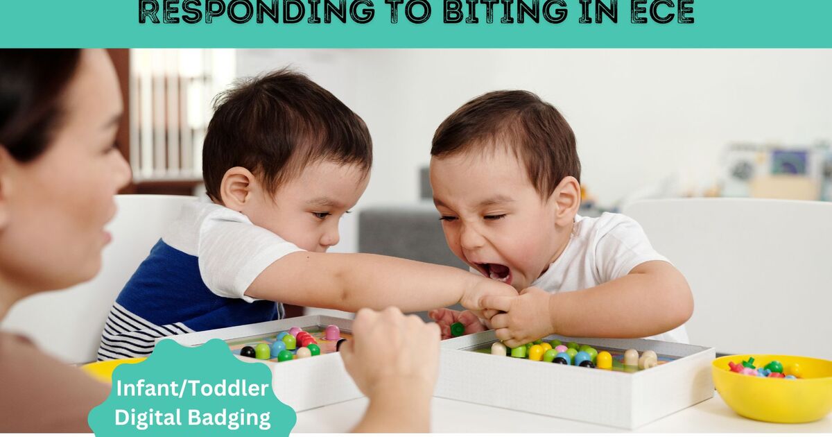 Early Childhood Learning Education Assessment Resource Network Inc ...