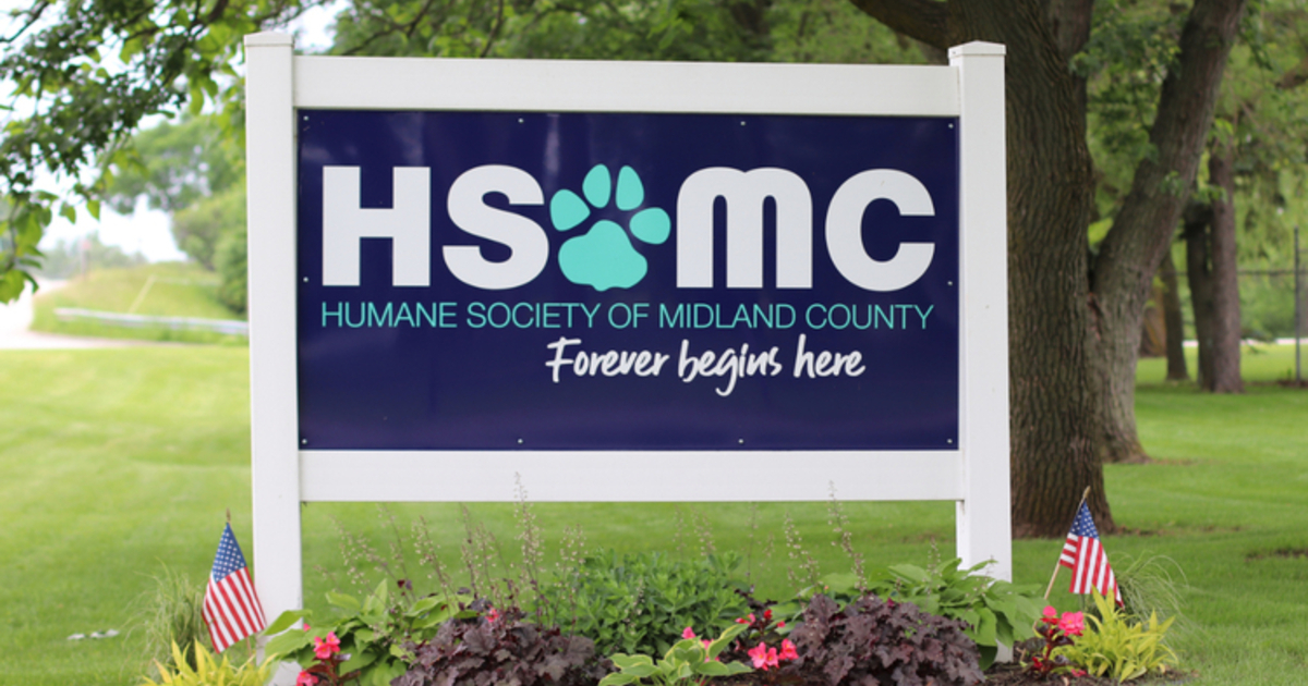 Humane Society of Midland County - National Animal Shelter Appreciation ...