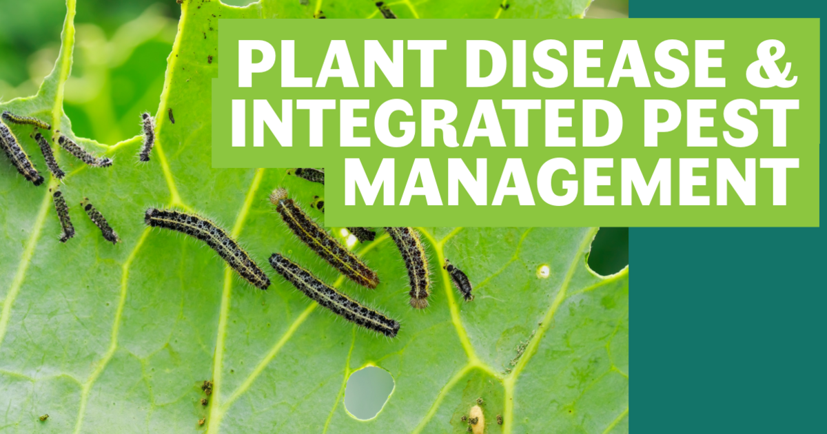 Civic Garden Center of Greater Cincinnati - Plant Disease & Integrated ...