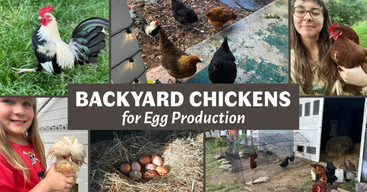 Civic Garden Center of Greater Cincinnati - Backyard Chickens for Egg ...