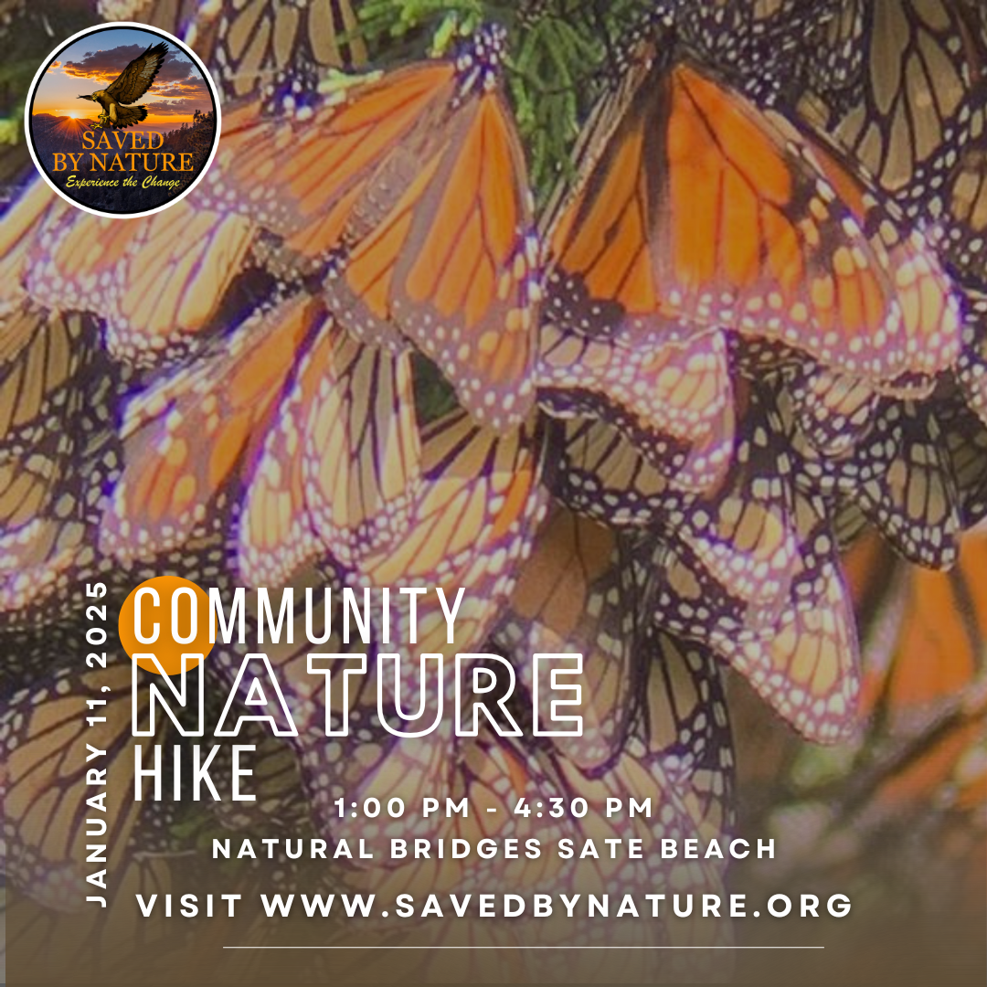 Saved By Nature - Community Nature Hike - Natural Bridges