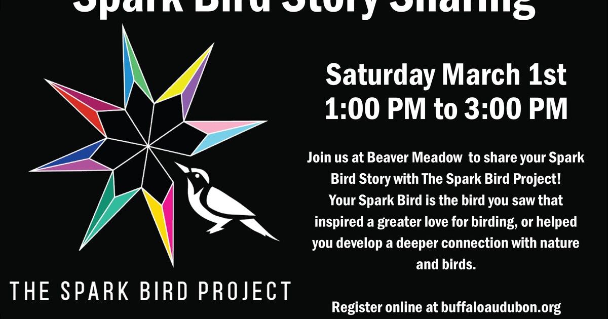 Buffalo Audubon Society Inc - Spark Bird Story Sharing