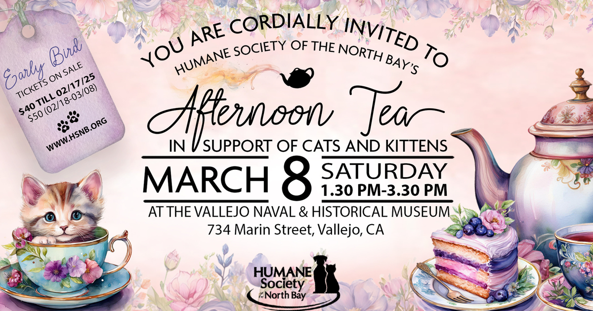 Humane Society of the North Bay - Afternoon Tea for Cats and Kittens