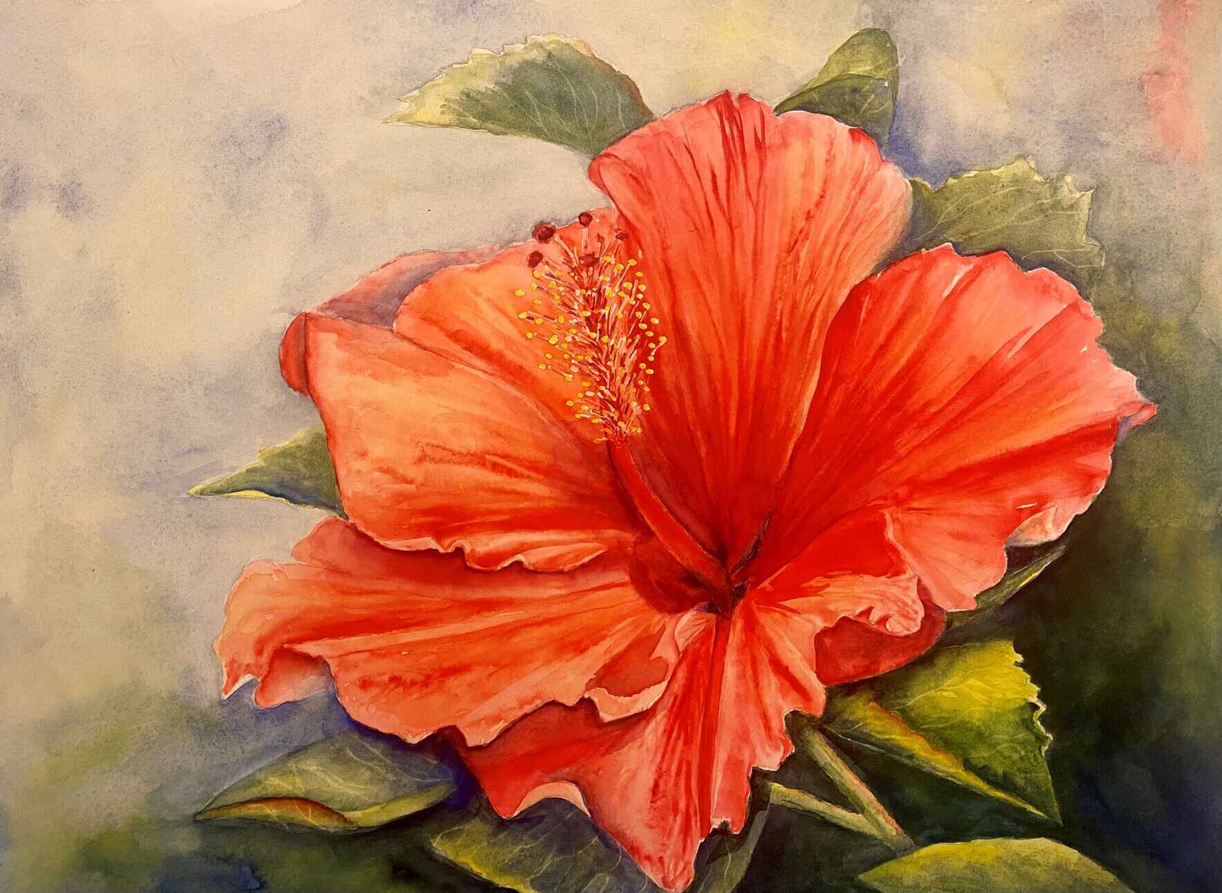 Virginia Beach Art Center Inc - X 2025-A1 - Hibiscus Watercolor ...