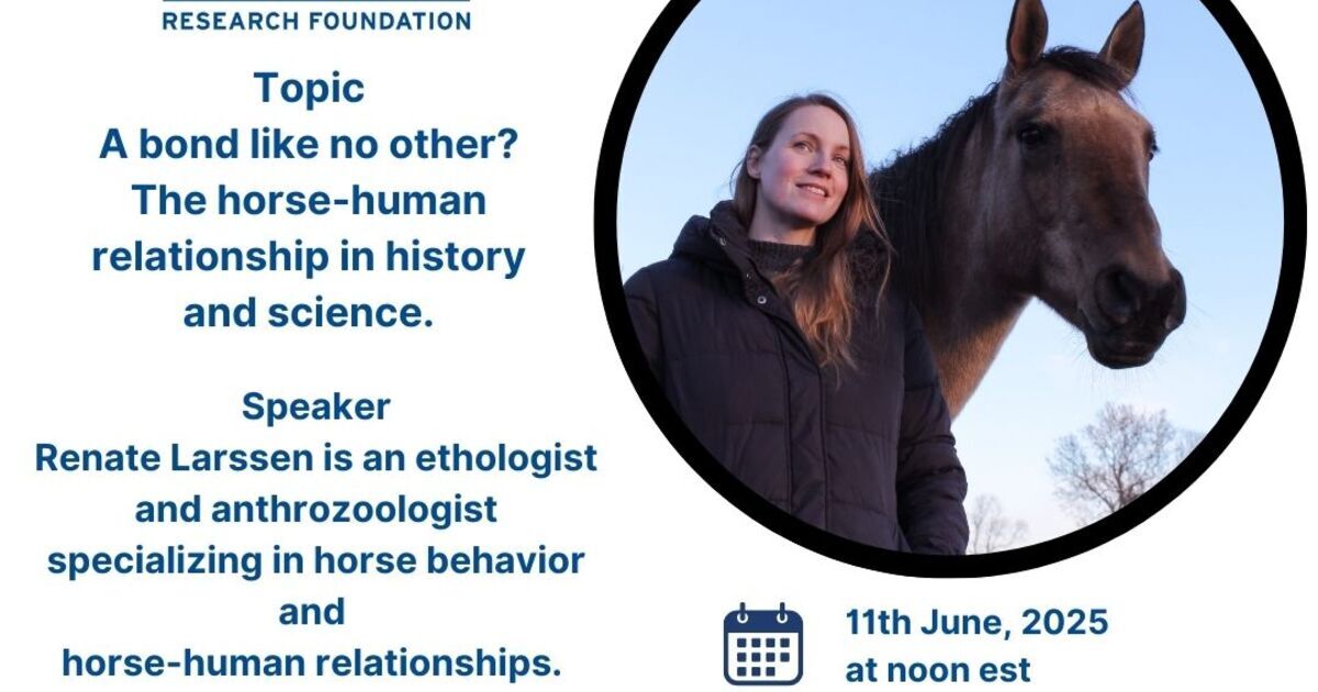 Horses and Humans Research Foundation - A bond like no other? The horse ...