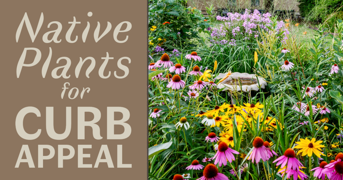 Civic Garden Center of Greater Cincinnati - Native Plants for Curb Appeal