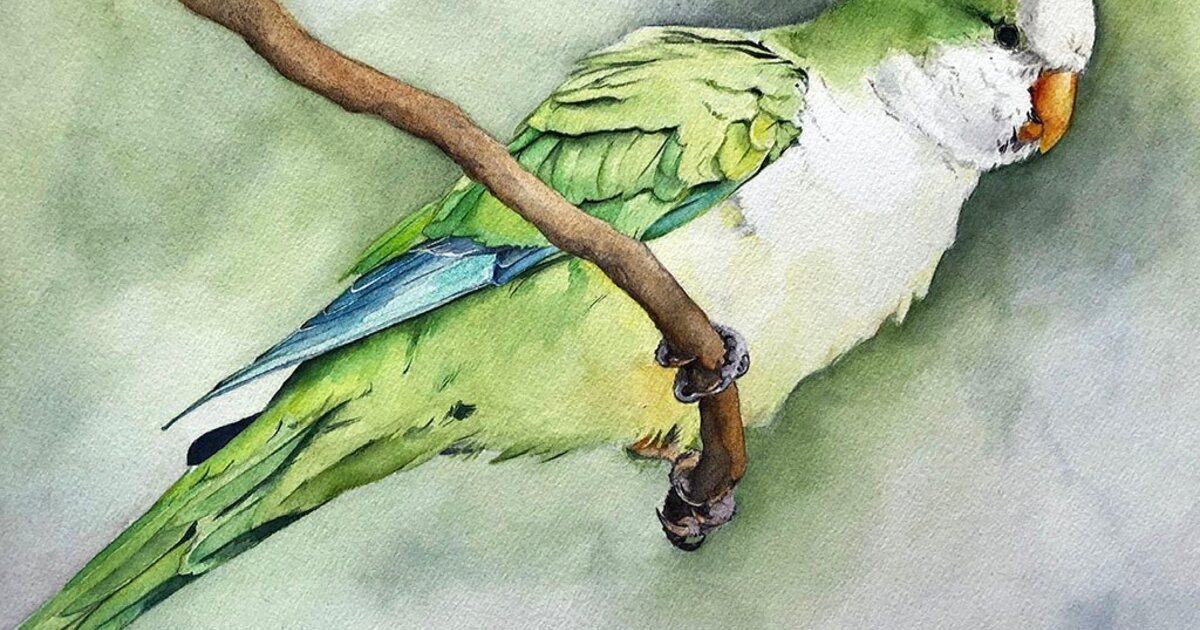 Virginia Beach Art Center Inc - X 2025-A2 - Watercolor Painting Studio ...