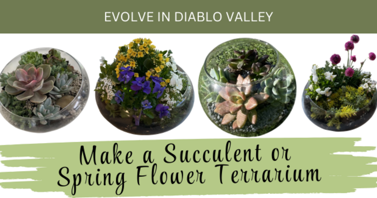 Hadassah The Womens Zionist Organization Of America - West - CPC ...