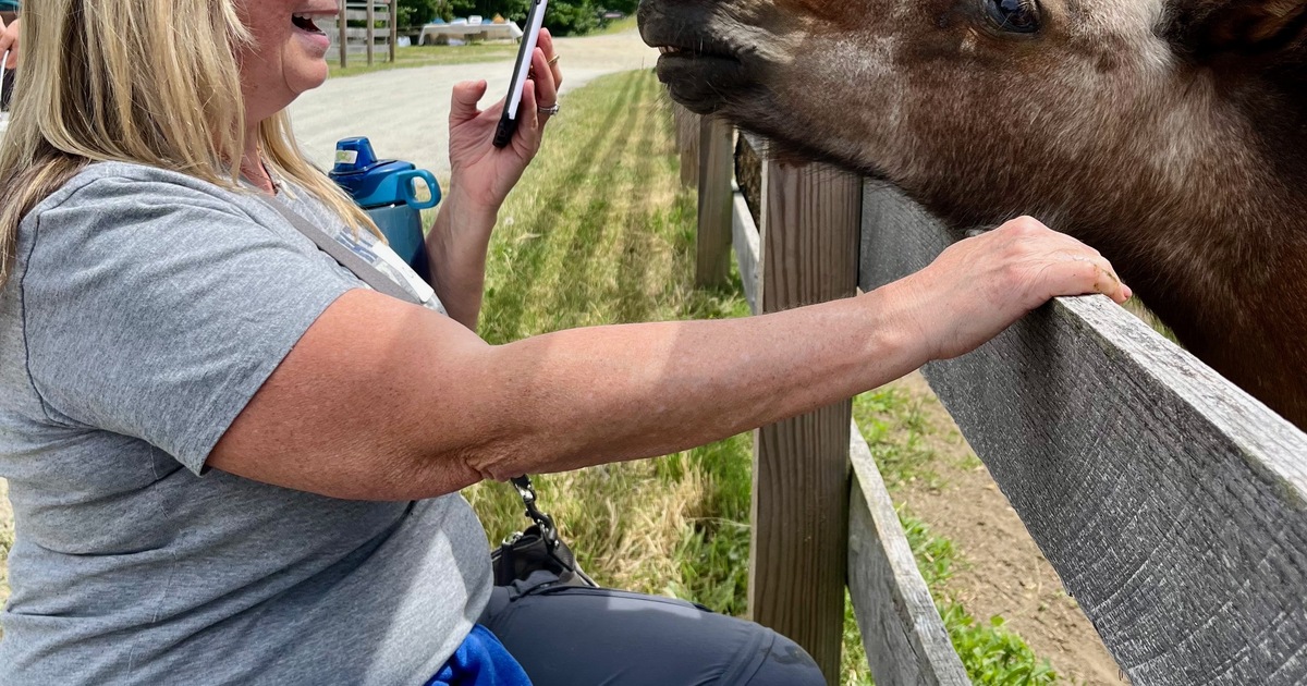 Tomten Farm and Sanctuary of New Hampshire - 2025 Tomten Immersion Tour ...
