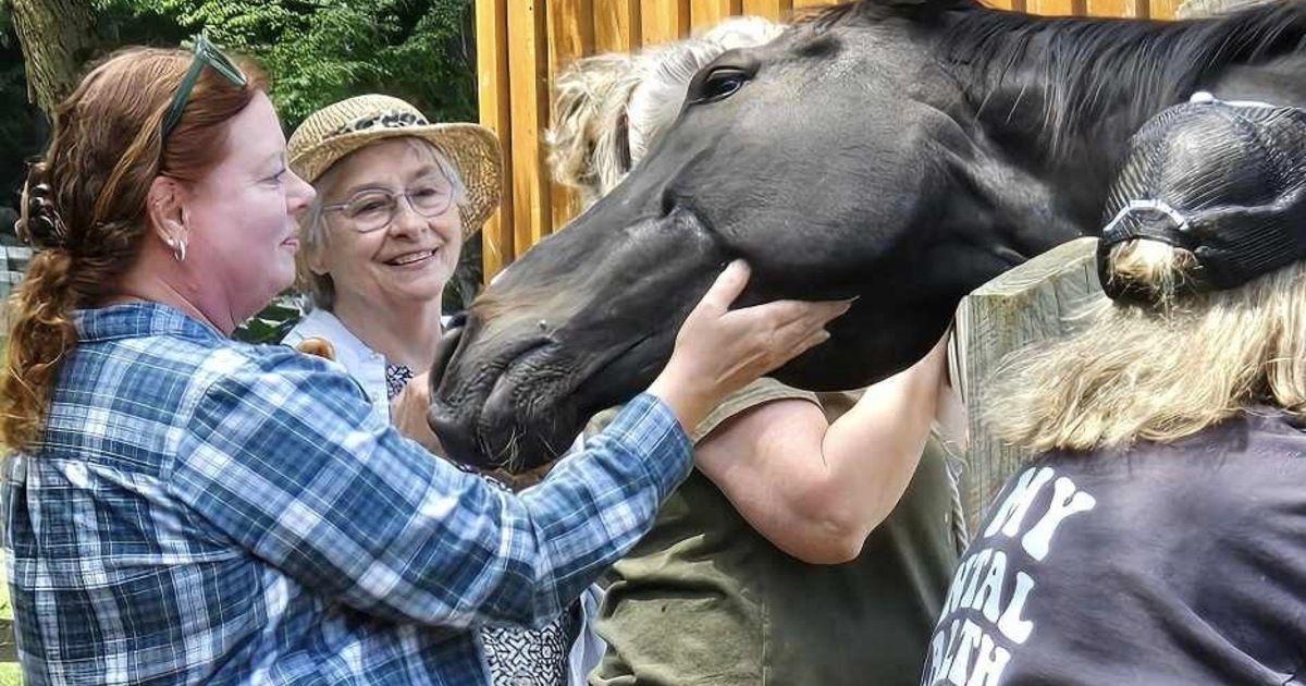 Tomten Farm and Sanctuary of New Hampshire - 2025 Tomten Traditional ...