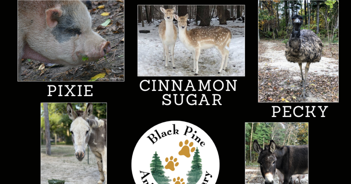 PROFESSIONAL ANIMAL RETIREMENT CENTER - Field Animal Champions