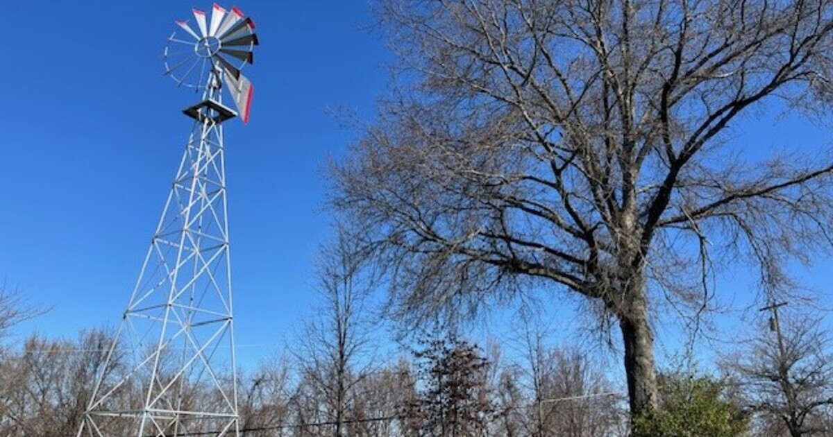 Allegheny Land Trust - Blueberry Picking and Tour of Meyer Farm