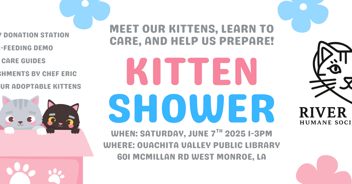 River Cities Humane Society for Cats - Kitten Shower June 2025