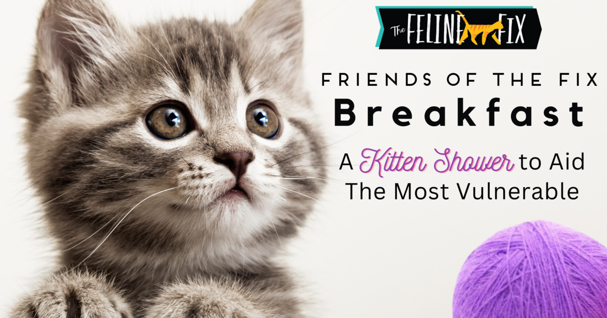 The Feline Fix - 2025 Friends of the Fix Breakfast & Kitten Shower
