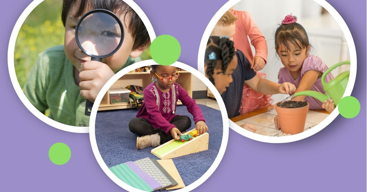 Early Childhood Learning Education Assessment Resource Network Inc ...