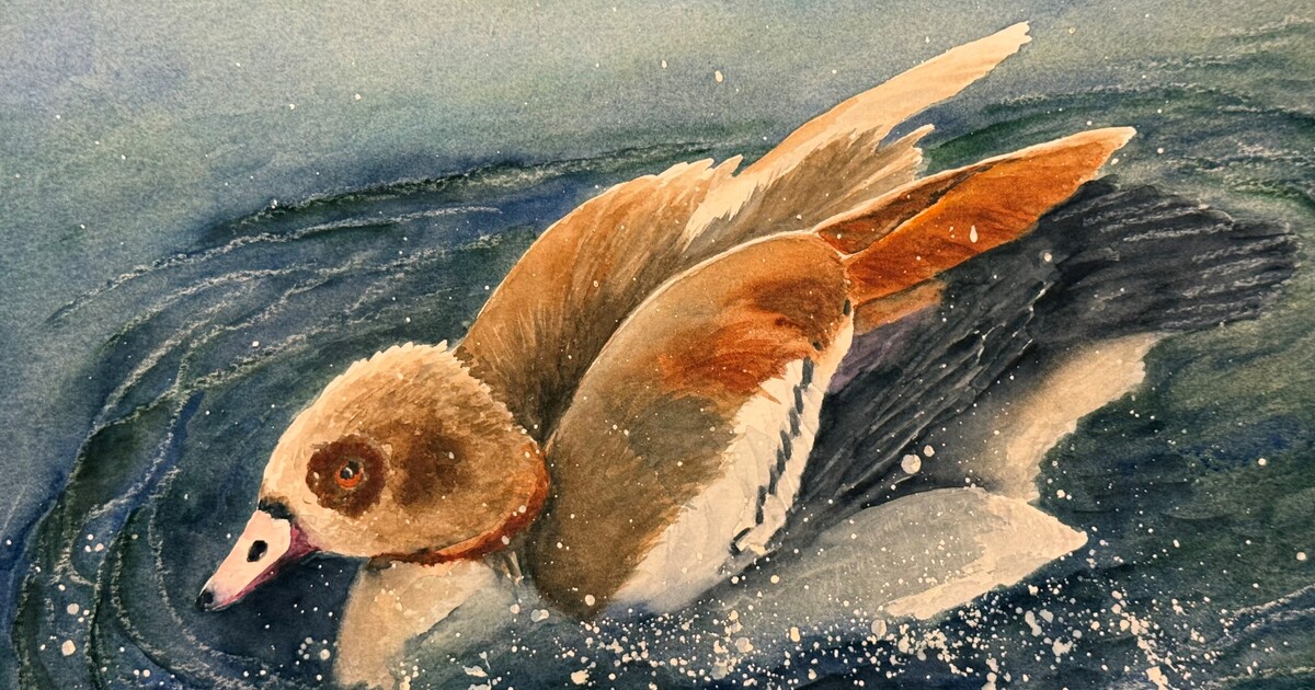 Virginia Beach Art Center Inc - X 2025-A3 - Intermediate Watercolor ...