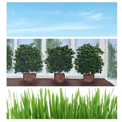 Virginia Beach Art Center Inc - X 2025-A3 - Acrylic Painting Basics ...