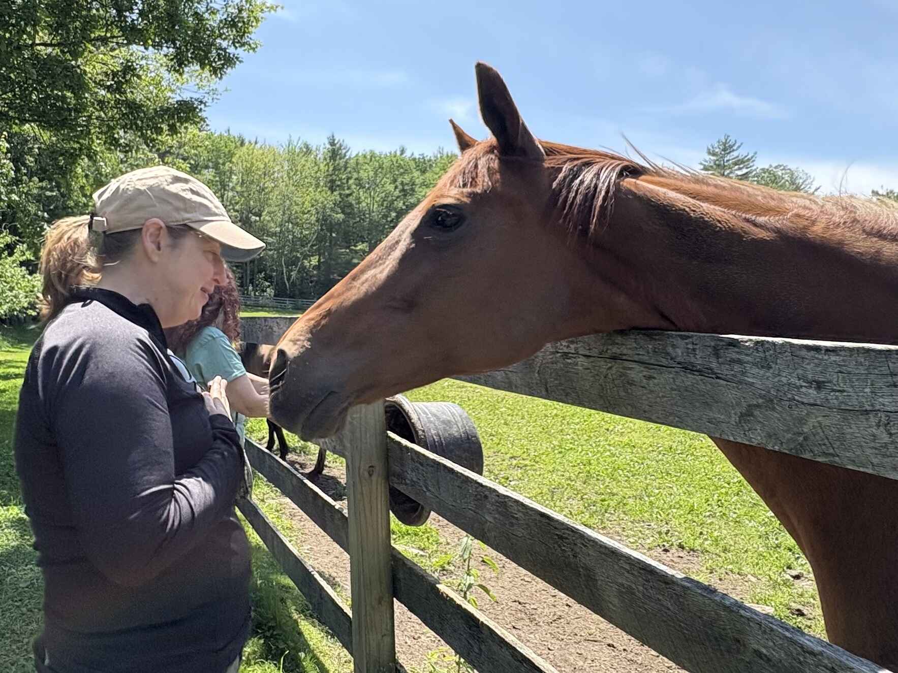Tomten Farm and Sanctuary of New Hampshire - Sept 2025 Tomten ...