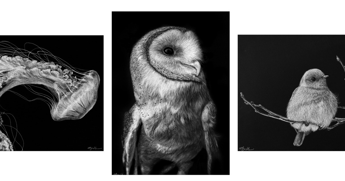 Virginia Beach Art Center Inc - X 2025-A4 - Beginner's Scratchboard ...