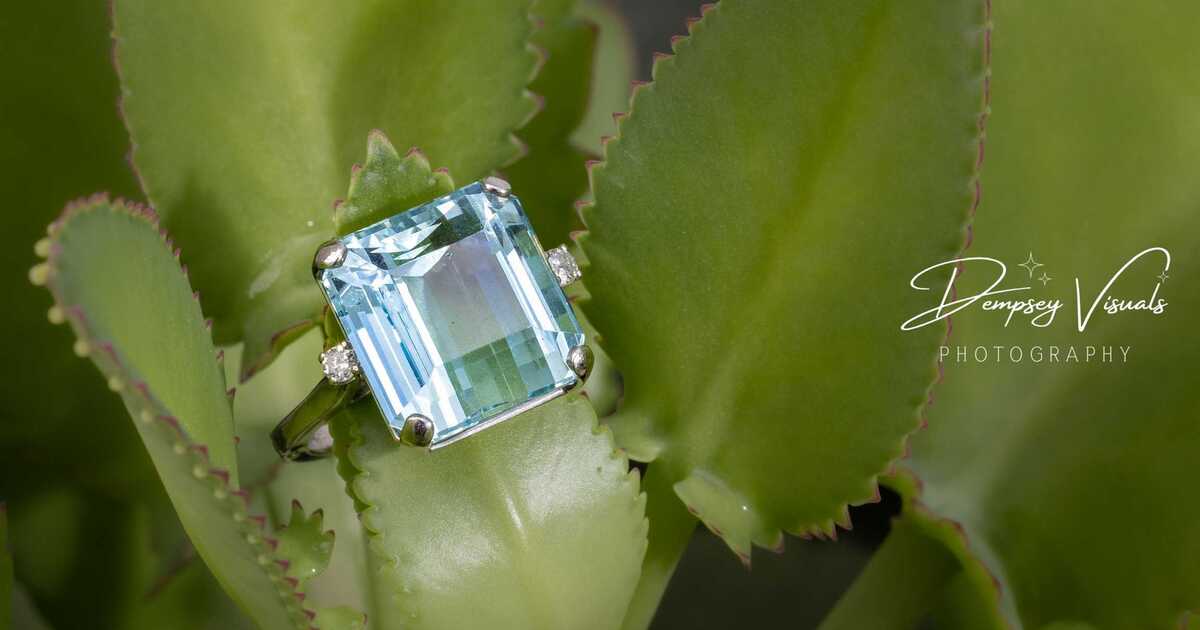 SPCA OF BREVARD INC - "True Blue" Aquamarine Ring Raffle