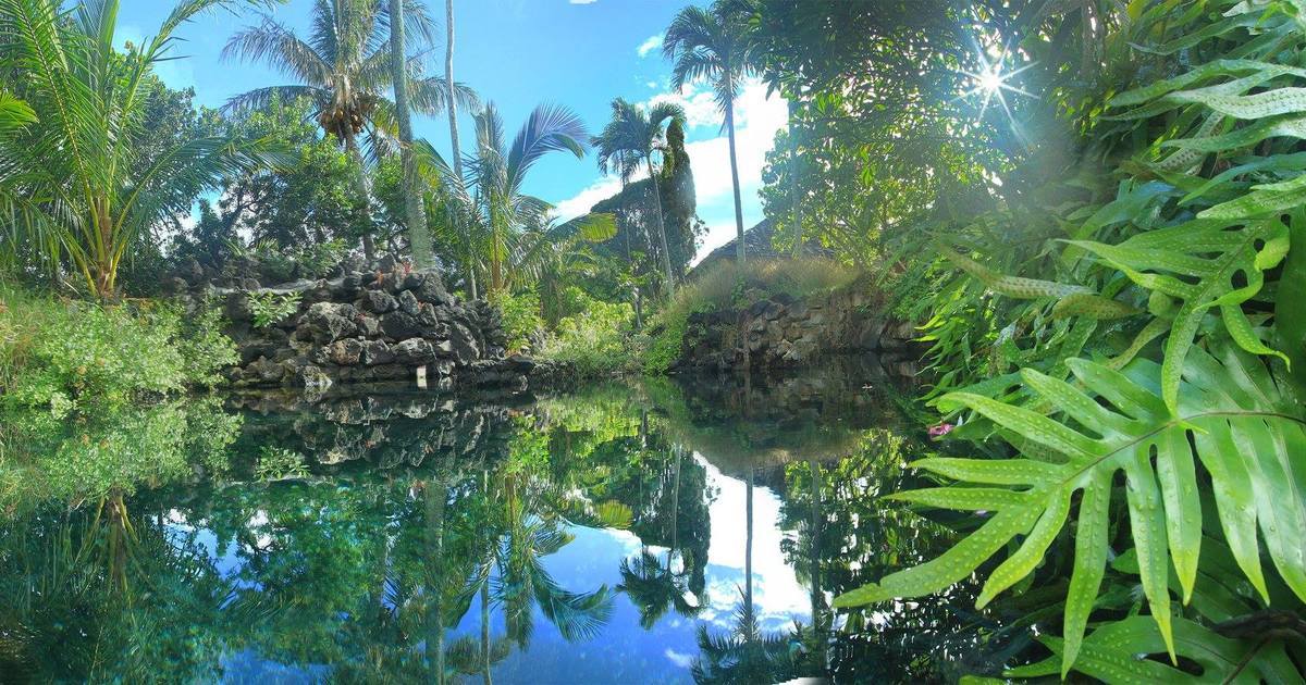 Maunalua Fishpond Heritage Center - Main Giving Page