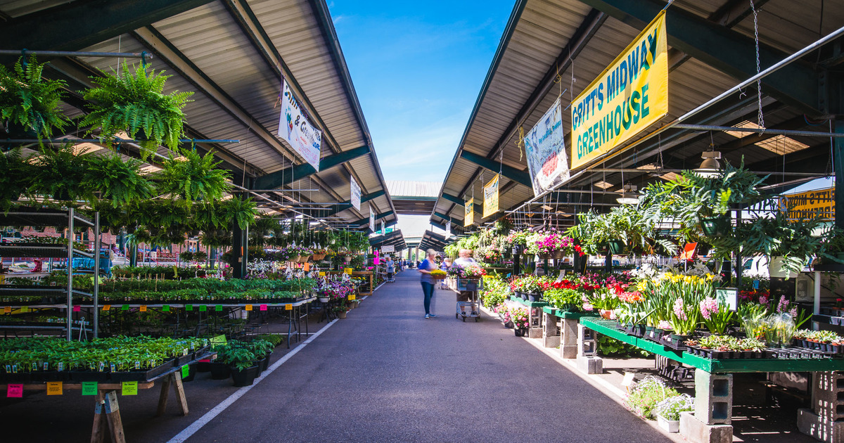 Capitol Market Inc - My Market Annual Fund