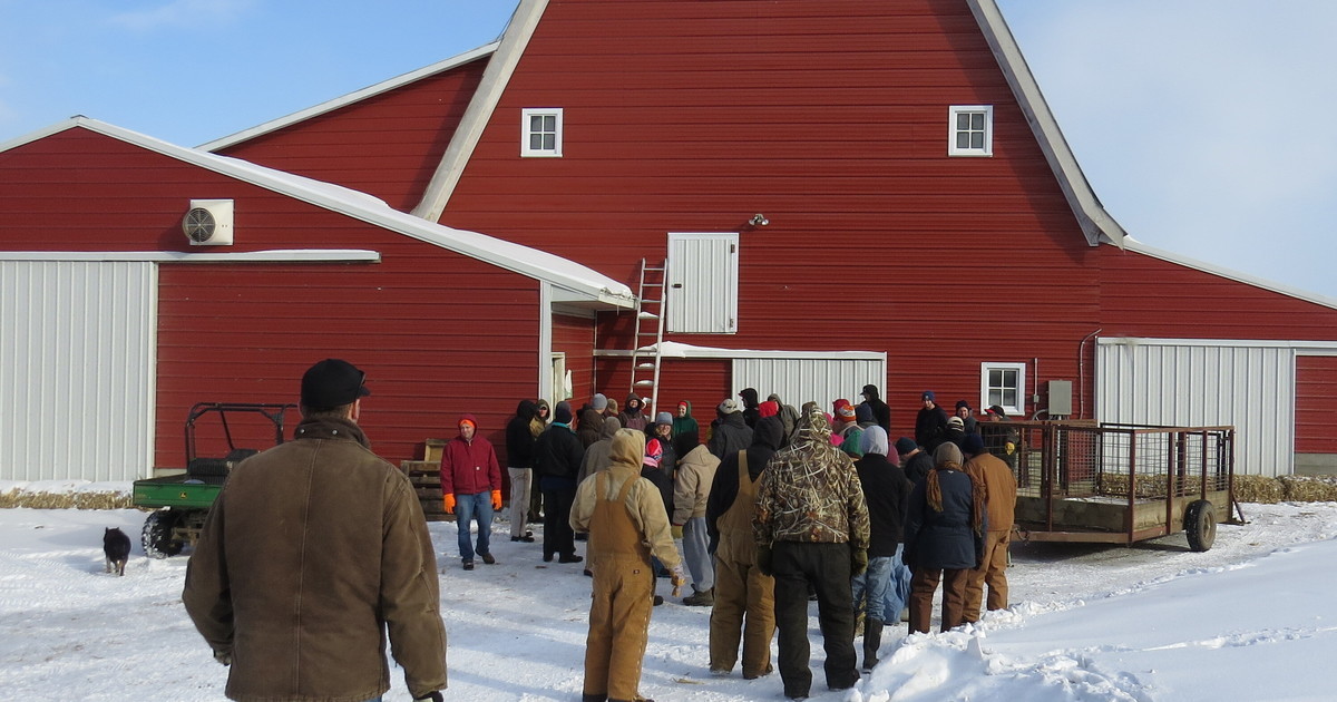 Critter Barn - Structures