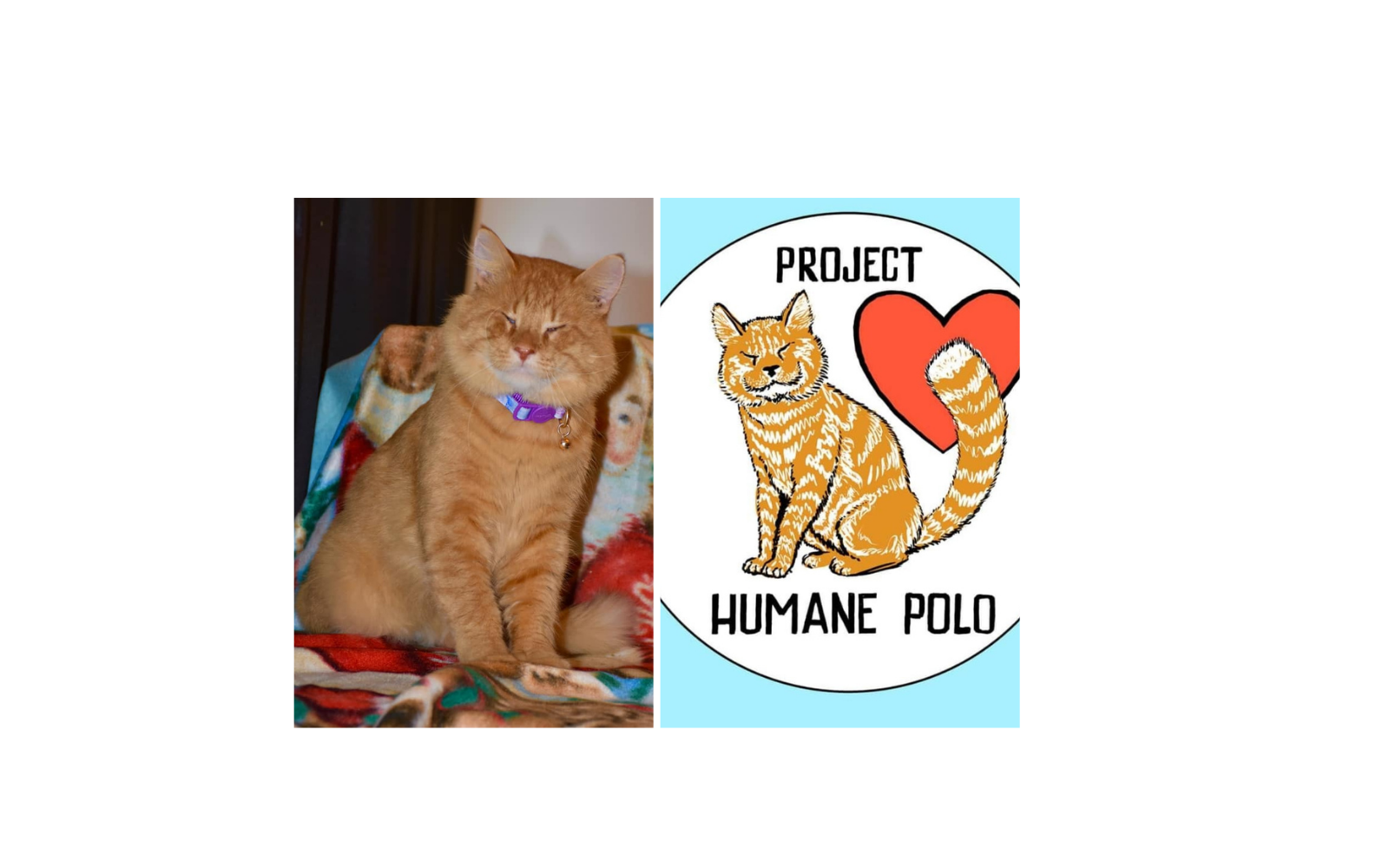 Happy Tails Inc - Project Humane Polo