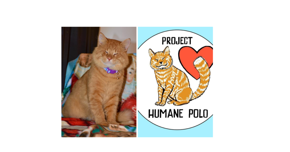 Happy Tails Inc - Project Humane Polo