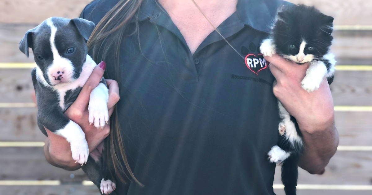 RESCUED PETS MOVEMENT INC - Our Best Year Yet:12,000+ Lives Saved